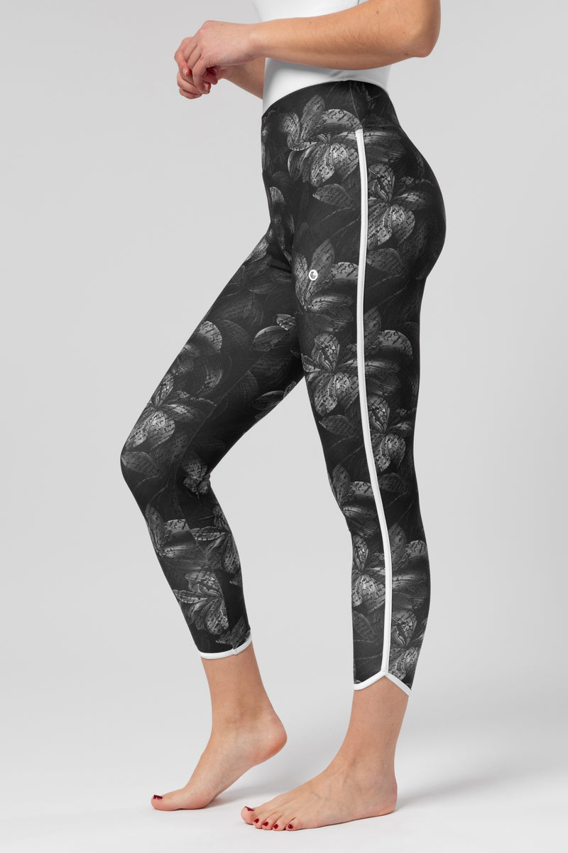 Janisa – Navigation